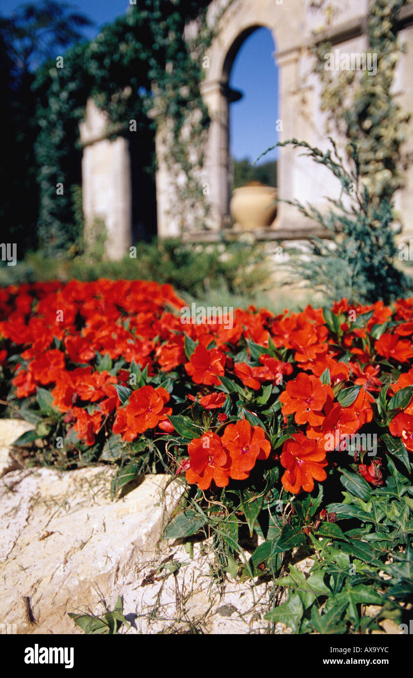 Red Summer Flowers near an abandoned stone building, Provence, The Var ...
