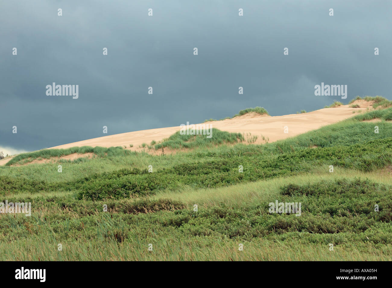 parabolic sand dune greenwich pei canada Stock Photo - Alamy