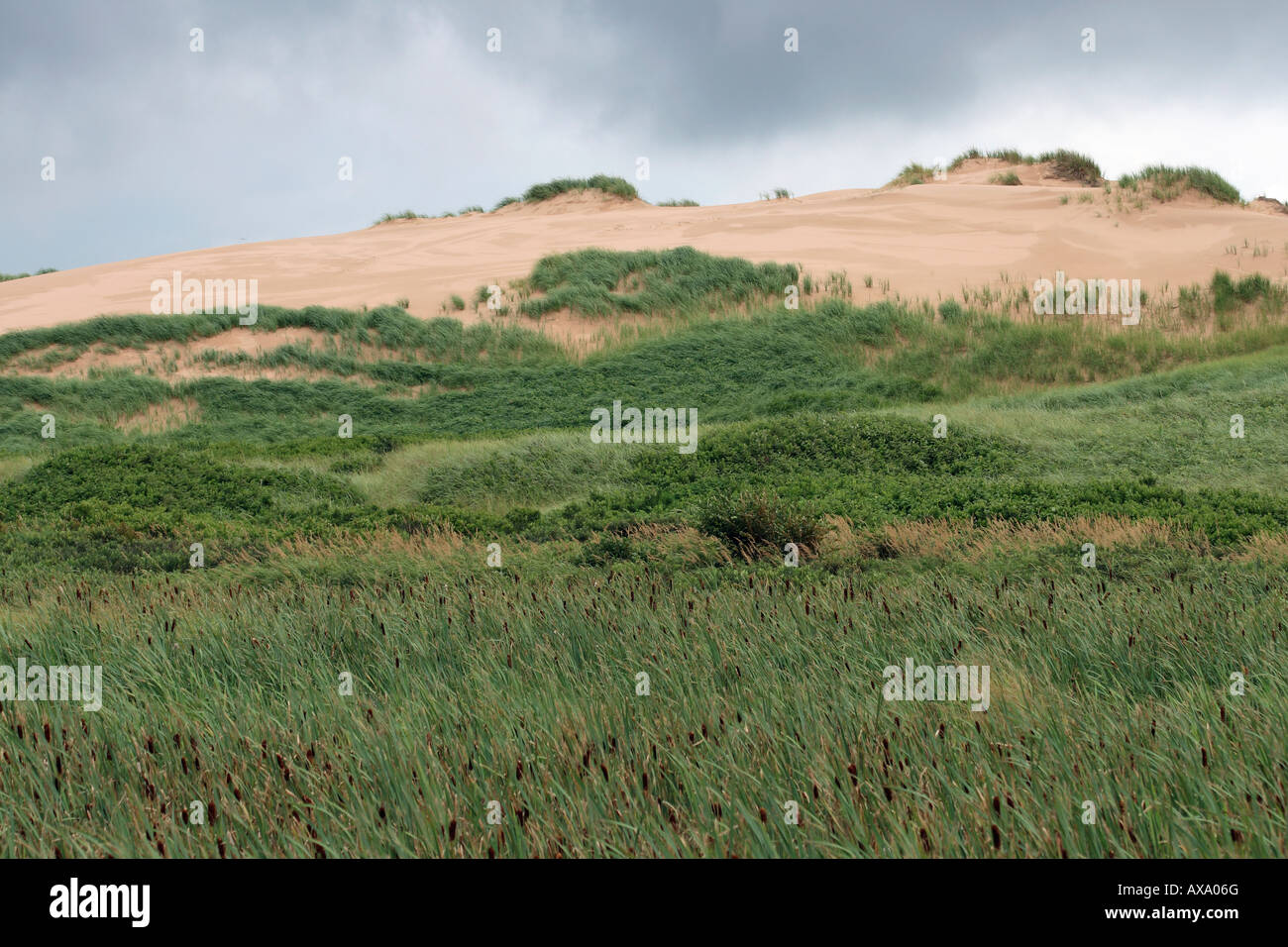 Parabolic dunes hi-res stock photography and images - Alamy