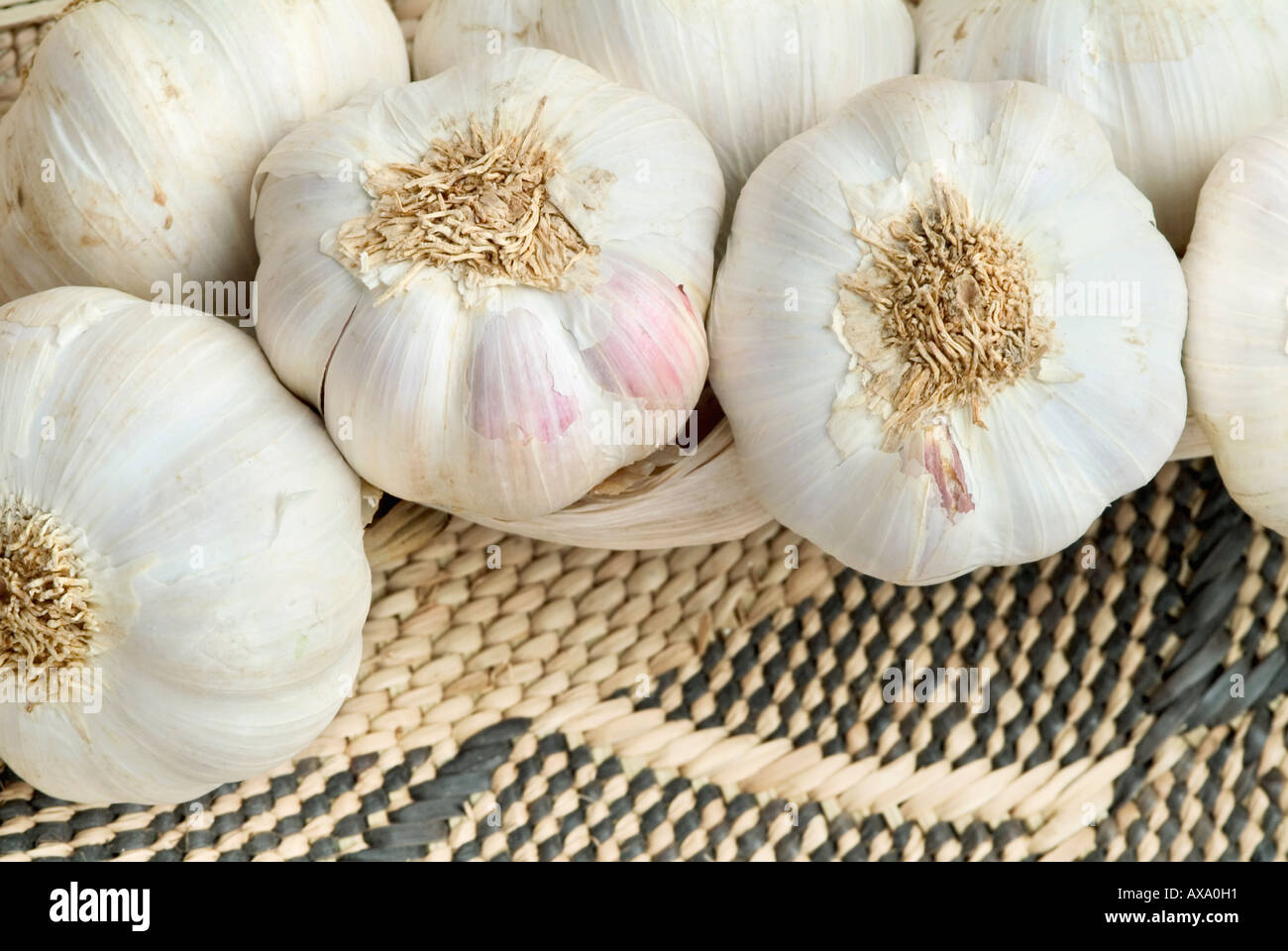 Garlic "rope", displayed in a wicker basket, rural France Stock Photo ...