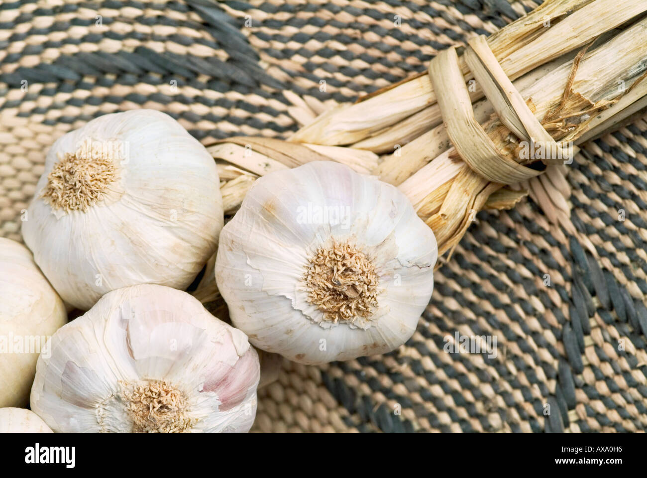Garlic "rope", displayed in a wicker basket, rural France Stock Photo ...