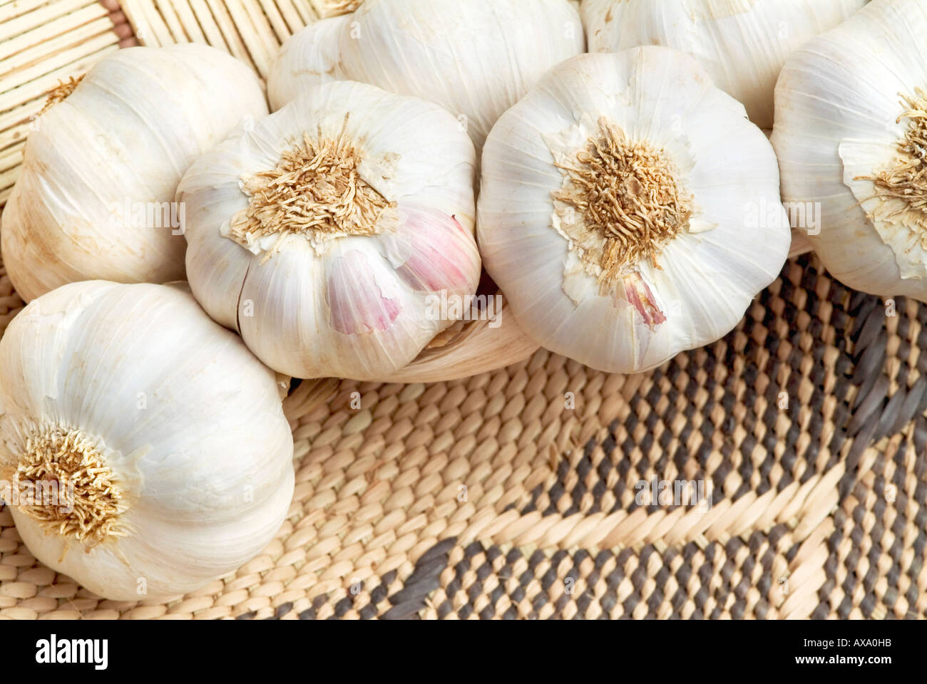 Garlic "rope", displayed in a wicker basket, rural France Stock Photo ...