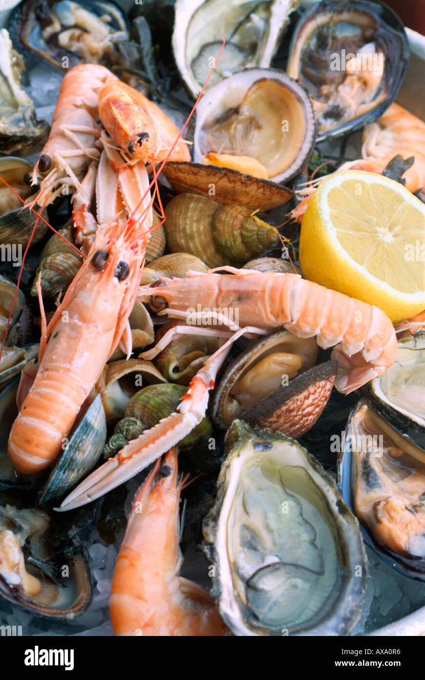 Moules fruits de mer fruits de mer hi-res stock photography and images ...