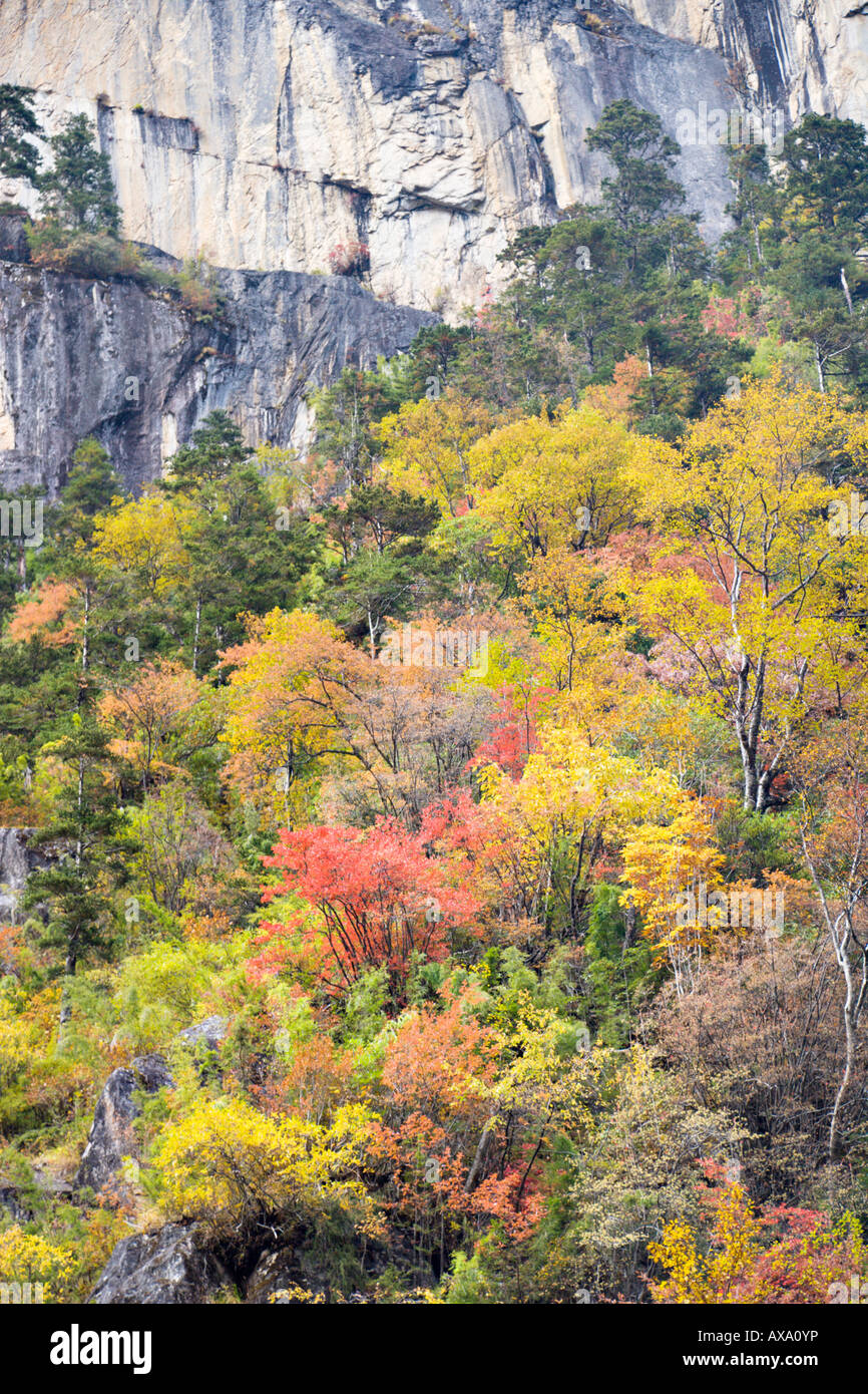 Autumn colors along trail to holy waterfall, Yubeng, Yunnan, China ...