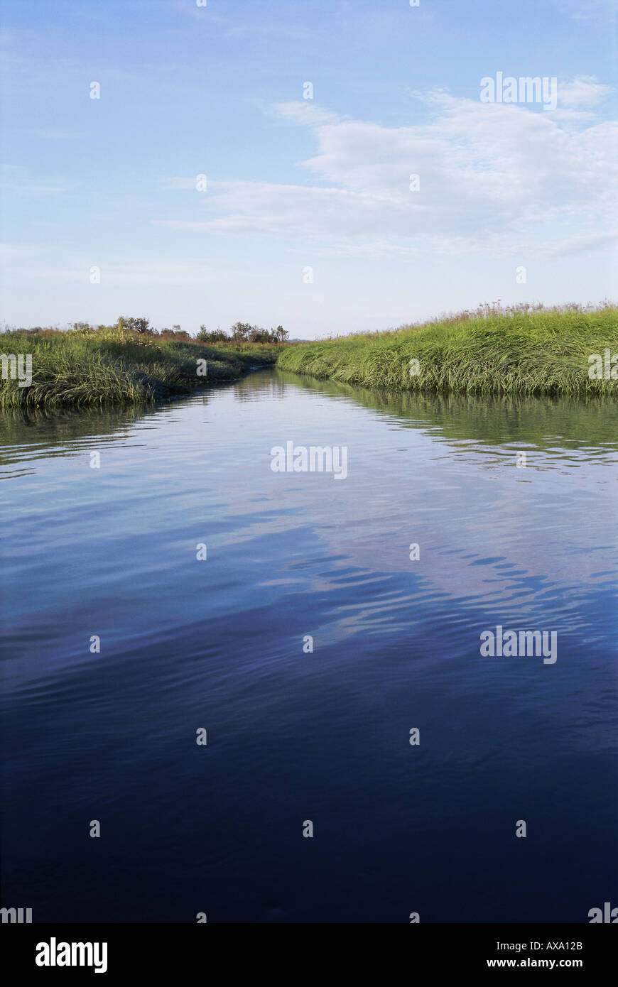 Kenai River Alaska USA Stock Photo - Alamy