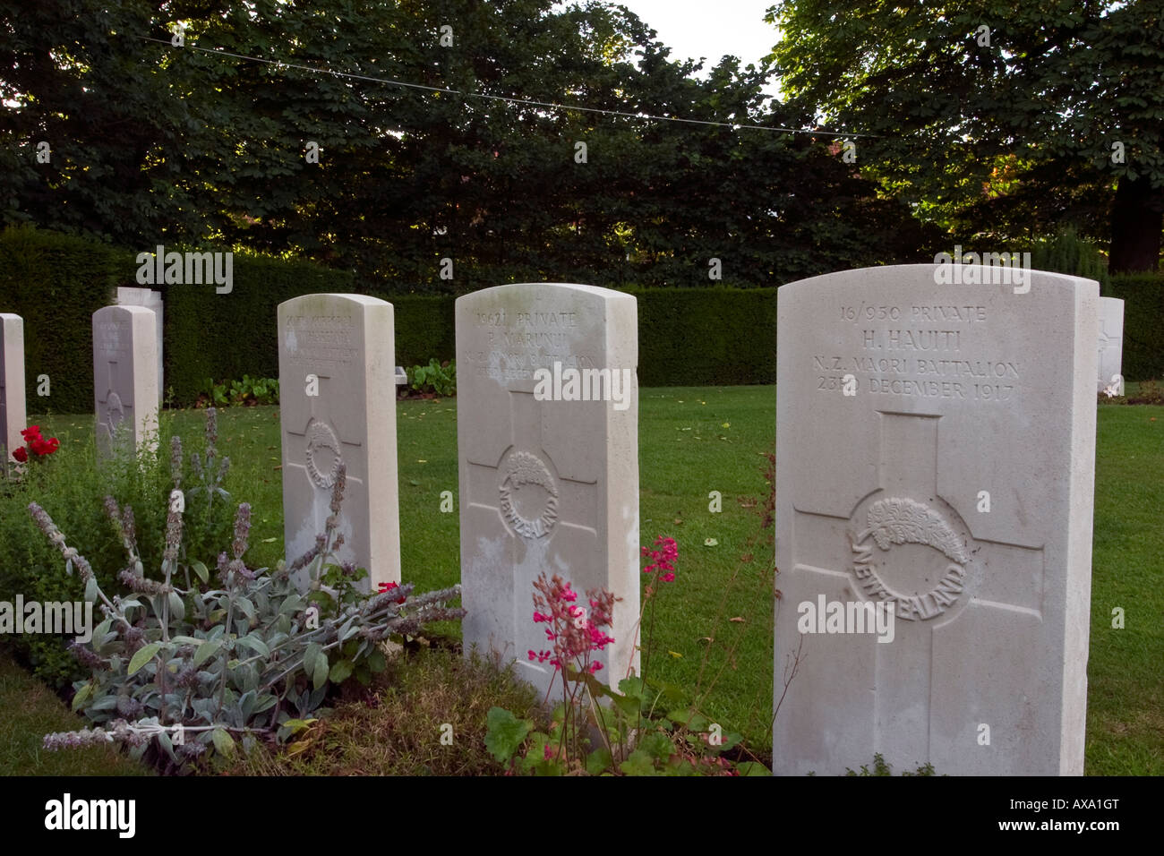 Line of graves of soldiers from Maori Battalion who died in WW1 ...