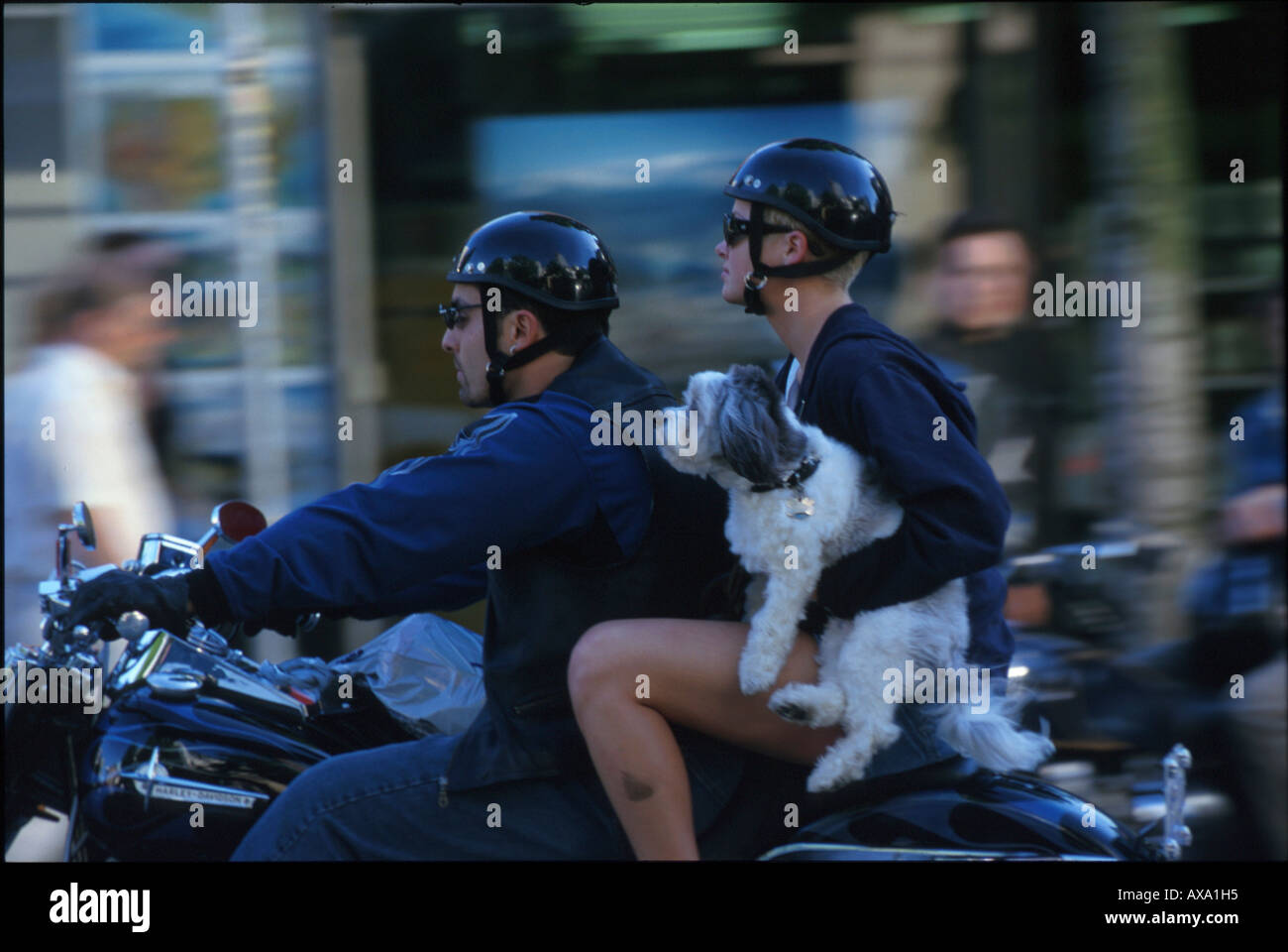 Harley davidson columbia hi-res stock photography and images - Alamy