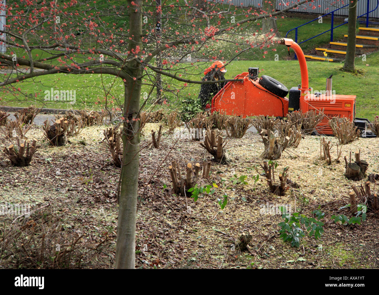 Machine to bark trees hi-res stock photography and images - Alamy