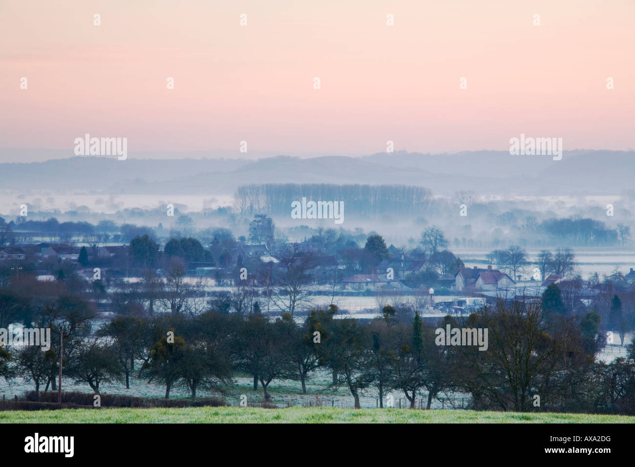 Winter dawn at Low Ham near Langport looking across the Somerset Levels ...