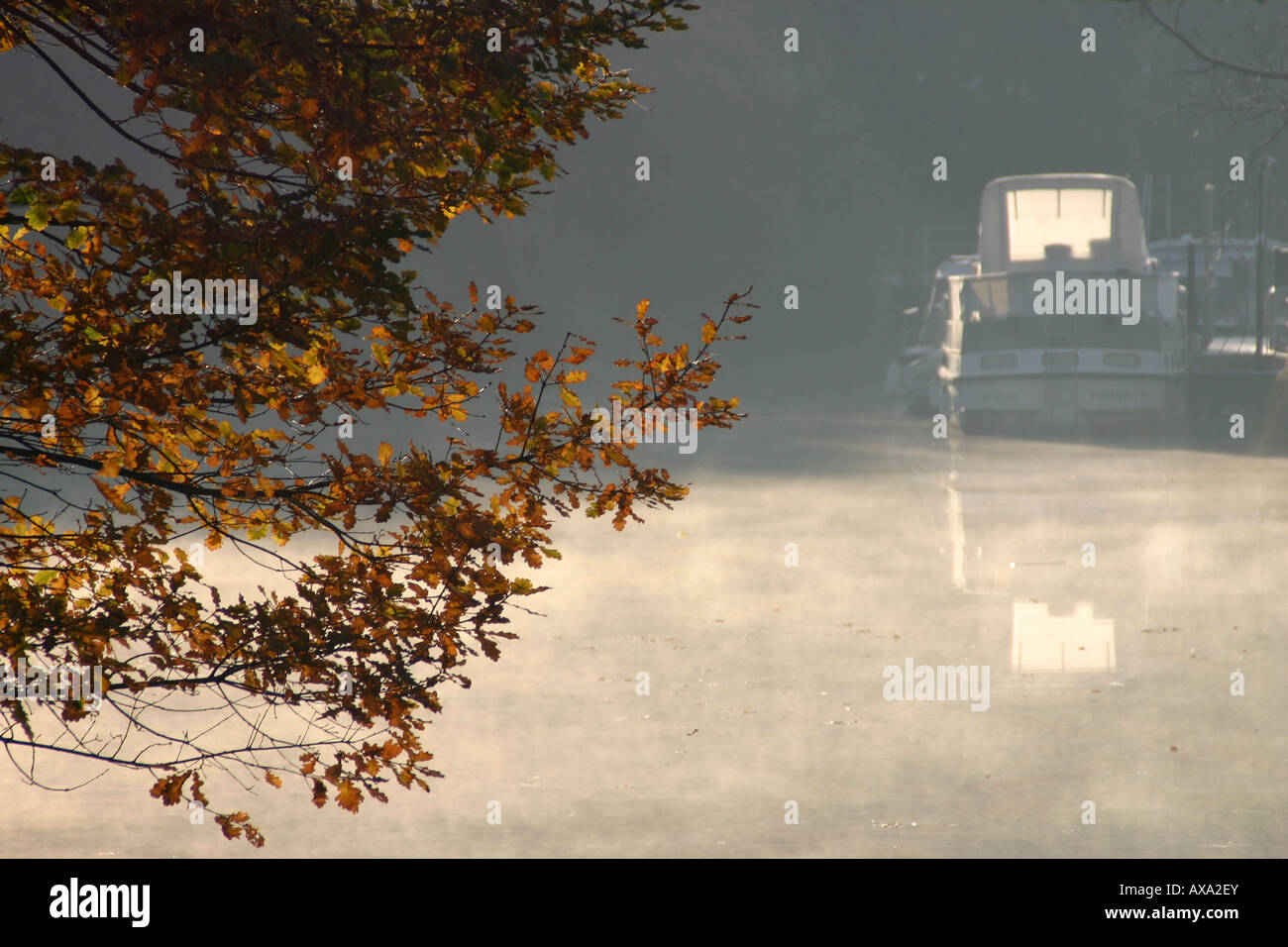 spooky eerie scary dawn sunlit river mist shadow river medway allington ...