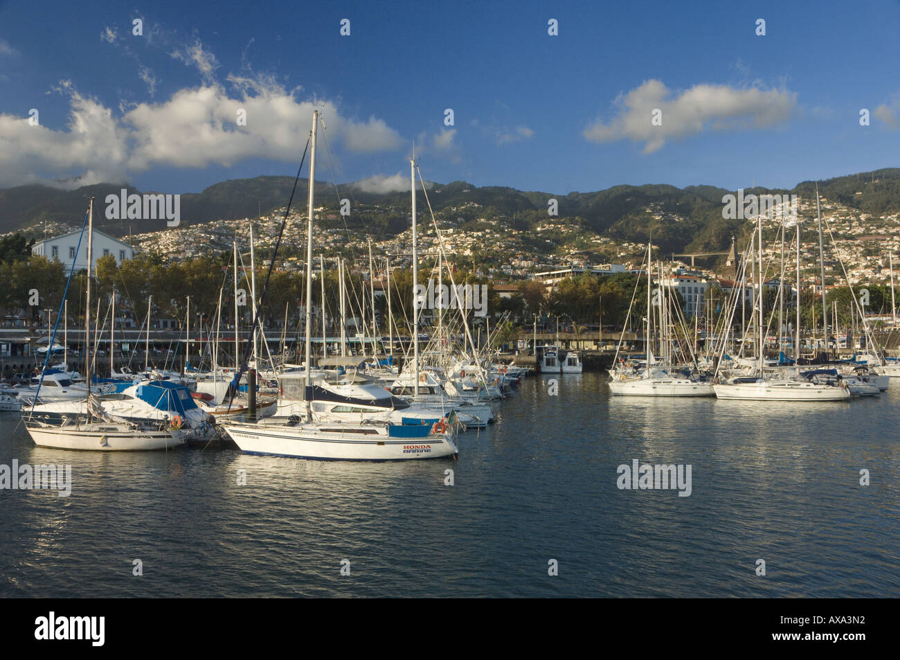 Funchal marina madeira hi-res stock photography and images - Alamy