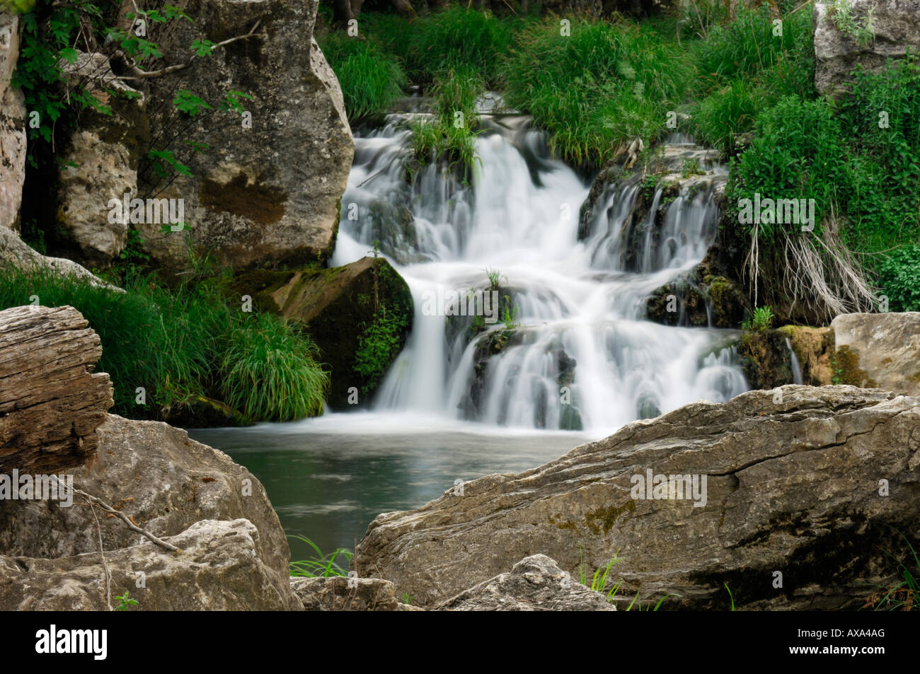 Eden park resort hi-res stock photography and images - Alamy