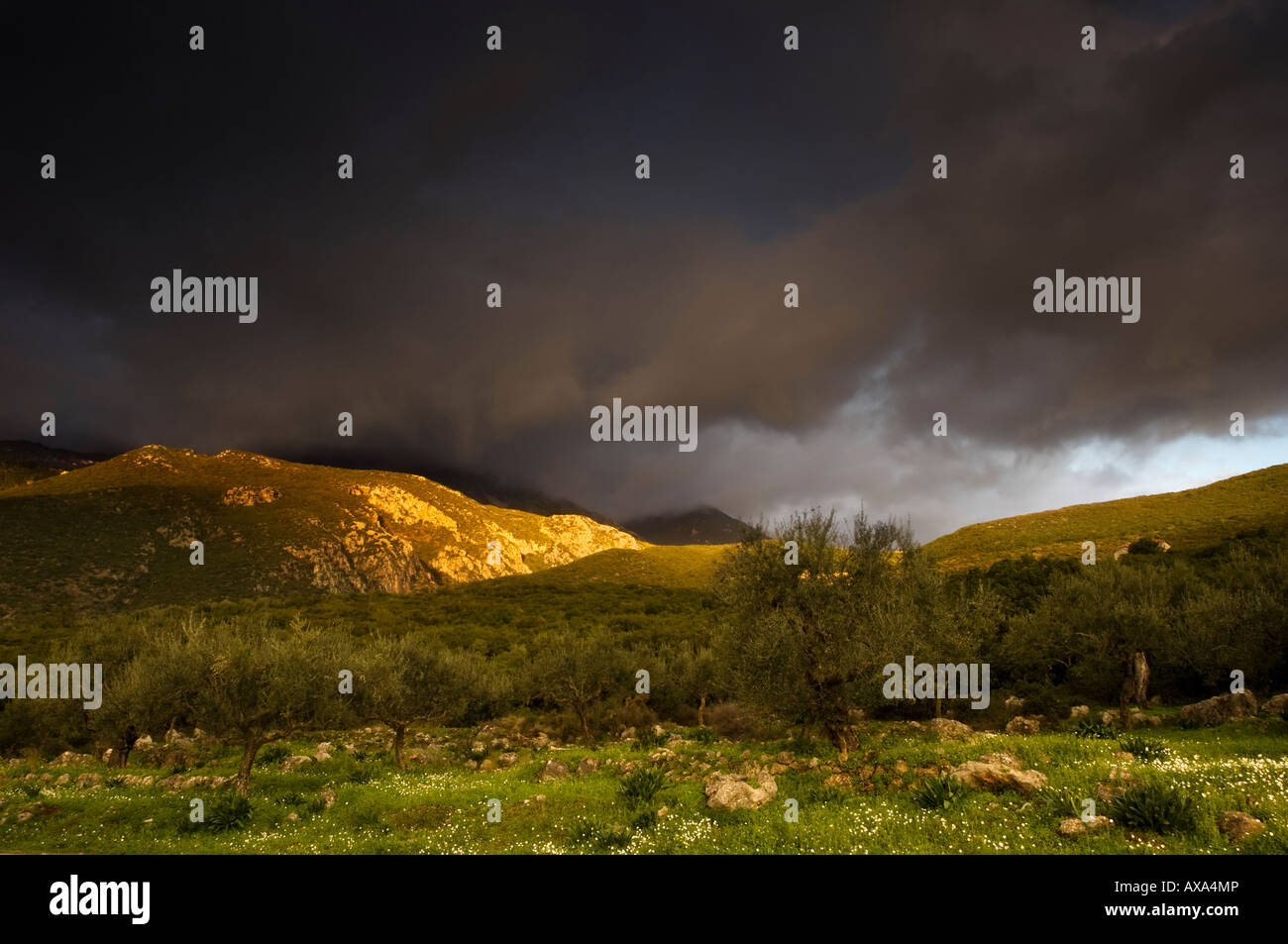 Landscape with Post-Storm Sunlight Stock Photo - Alamy