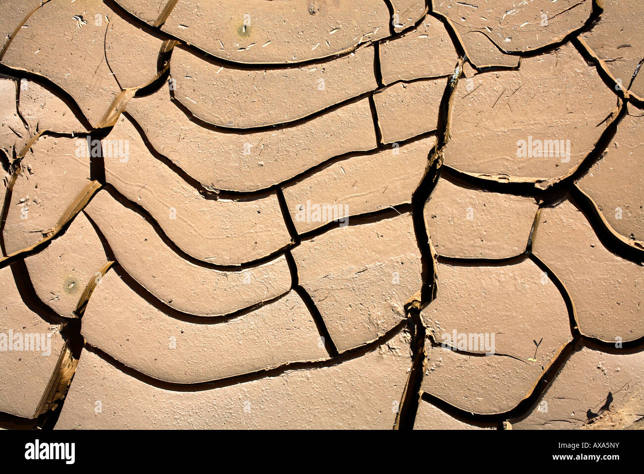 cracked dry mud at the bottom of a pond Stock Photo - Alamy
