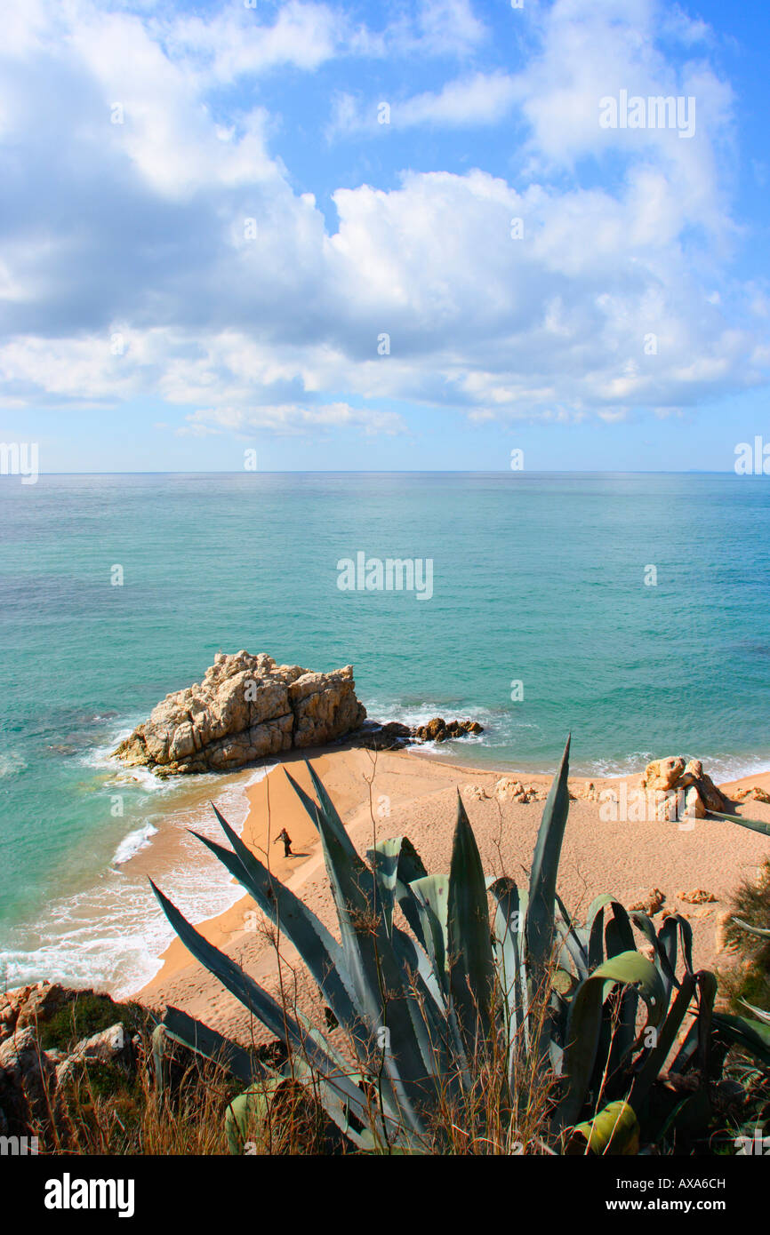 Mediterranean Sea. Agave and Roca Grossa Rock. Calella. Barcelona ...