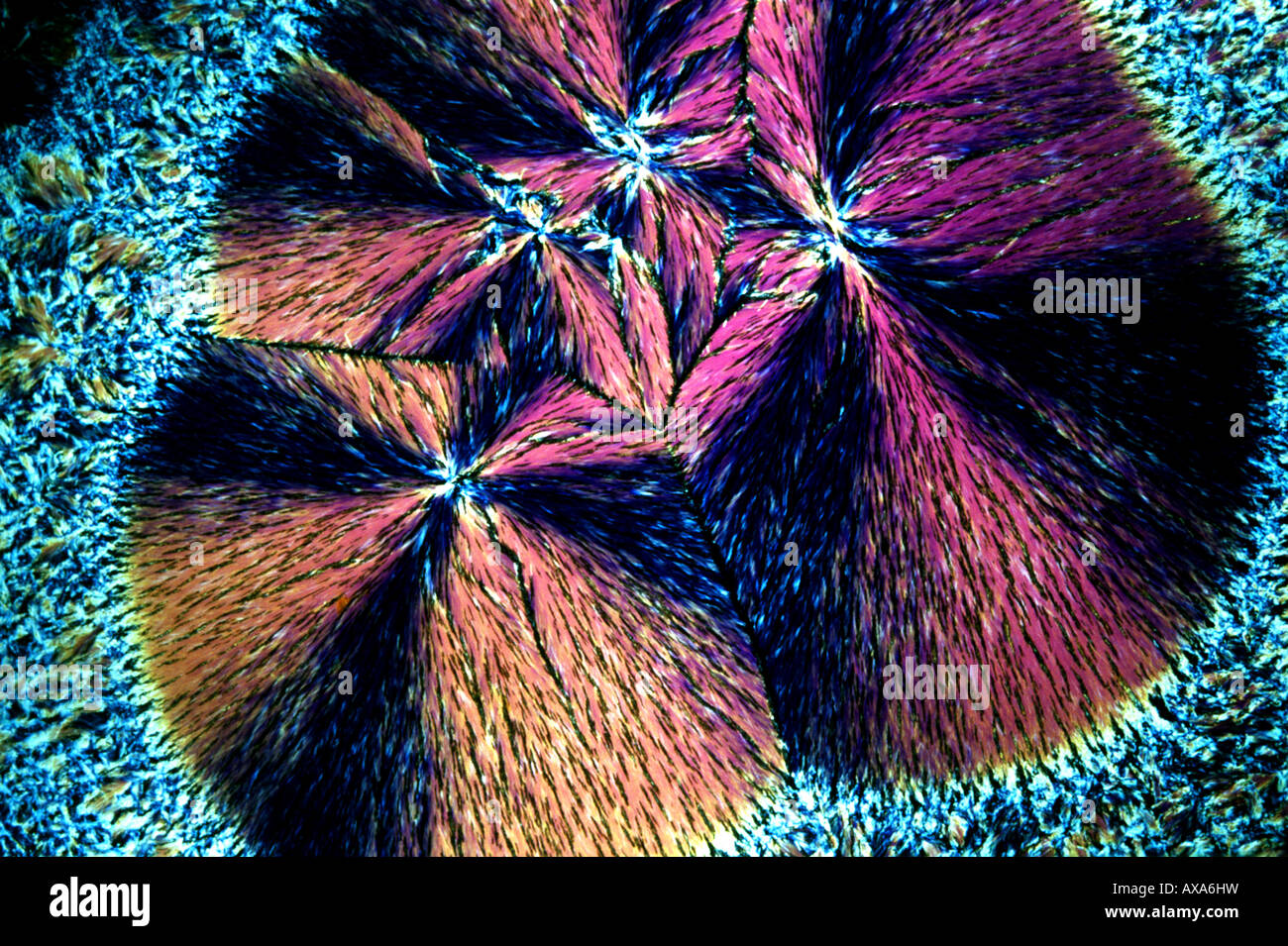 Crystals of Rochelle salt potassium sodium tartrate KNaC4H4O6 in ...