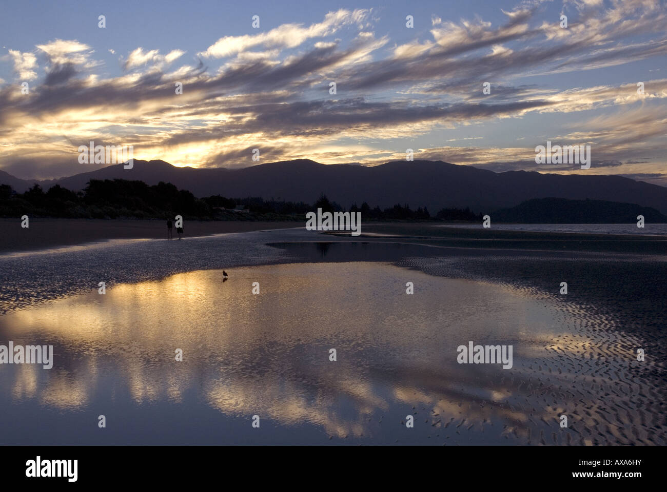 Pohara beach new zealand hi-res stock photography and images - Alamy