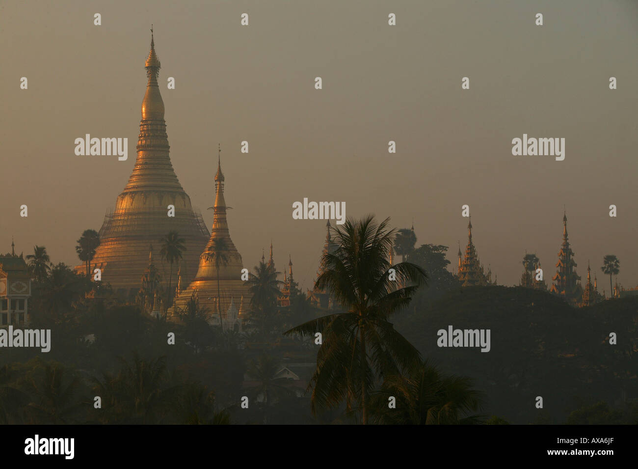 Shwedagon Pagoda, Burma, Myanmar, morning, dawn Stock Photo - Alamy