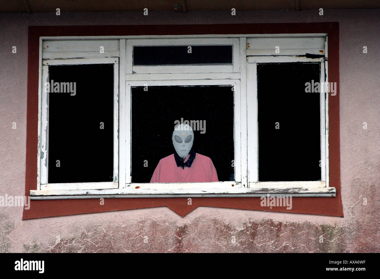A SCARY FACE IN THE WINDOW BAPDA9233 Stock Photo - Alamy