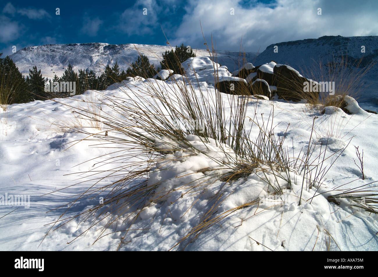 Chew Valley Greenfield Saddleworth Stock Photo - Alamy