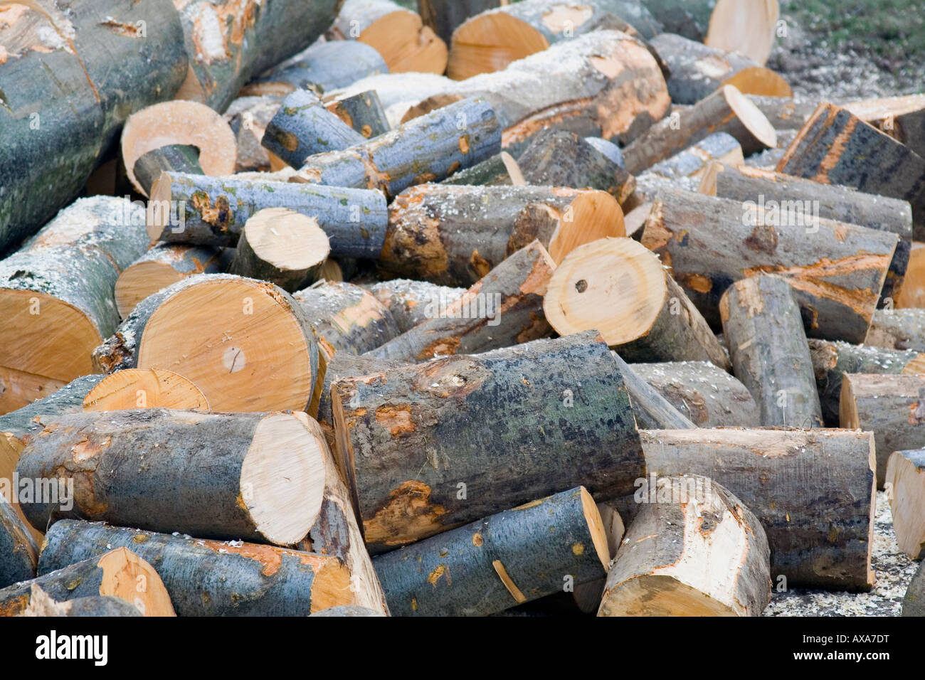 Fire wood close up Stock Photo - Alamy