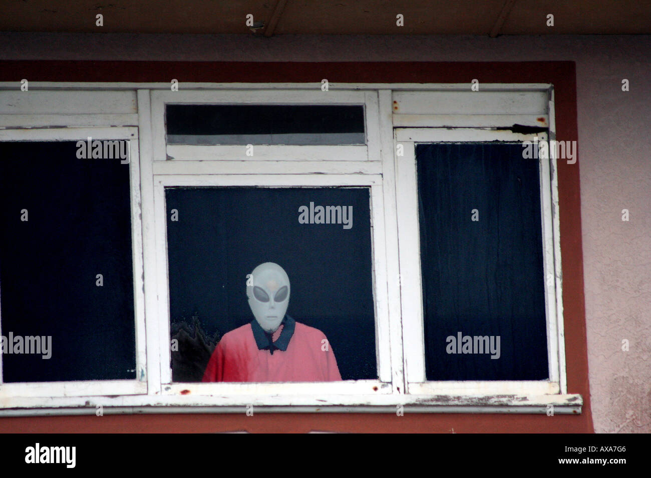 Scary Face In The Window