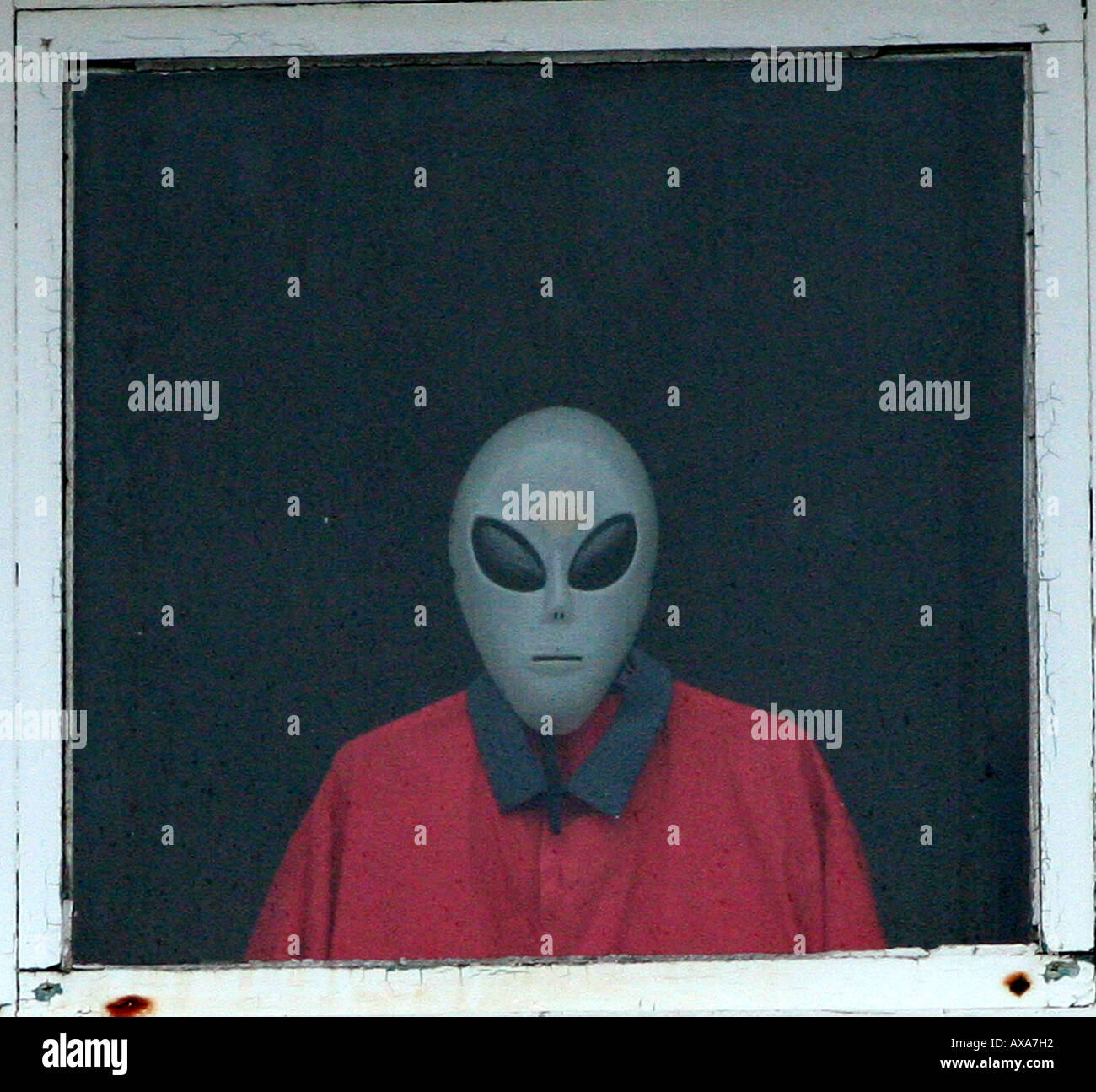 A SCARY FACE IN THE WINDOW BAPDA9237 Stock Photo - Alamy