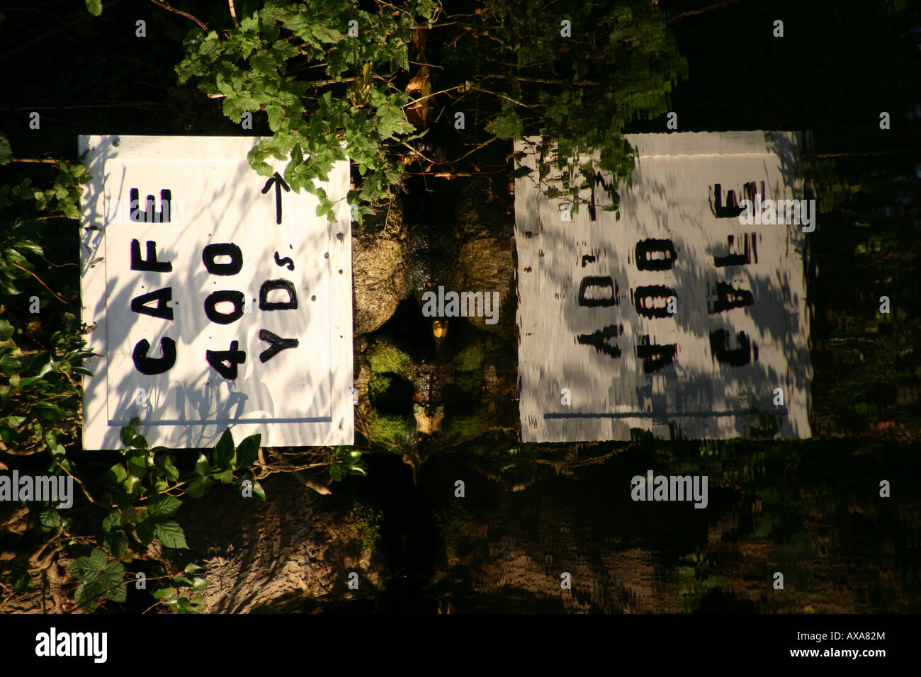 canal cut cafe sign still water reflection cold river medway yalding ...