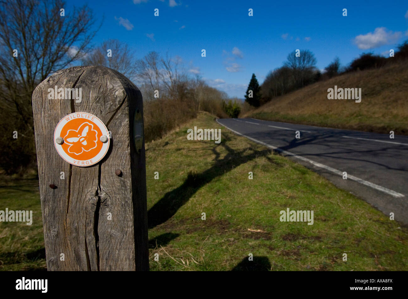 Protected drivers hi-res stock photography and images - Alamy