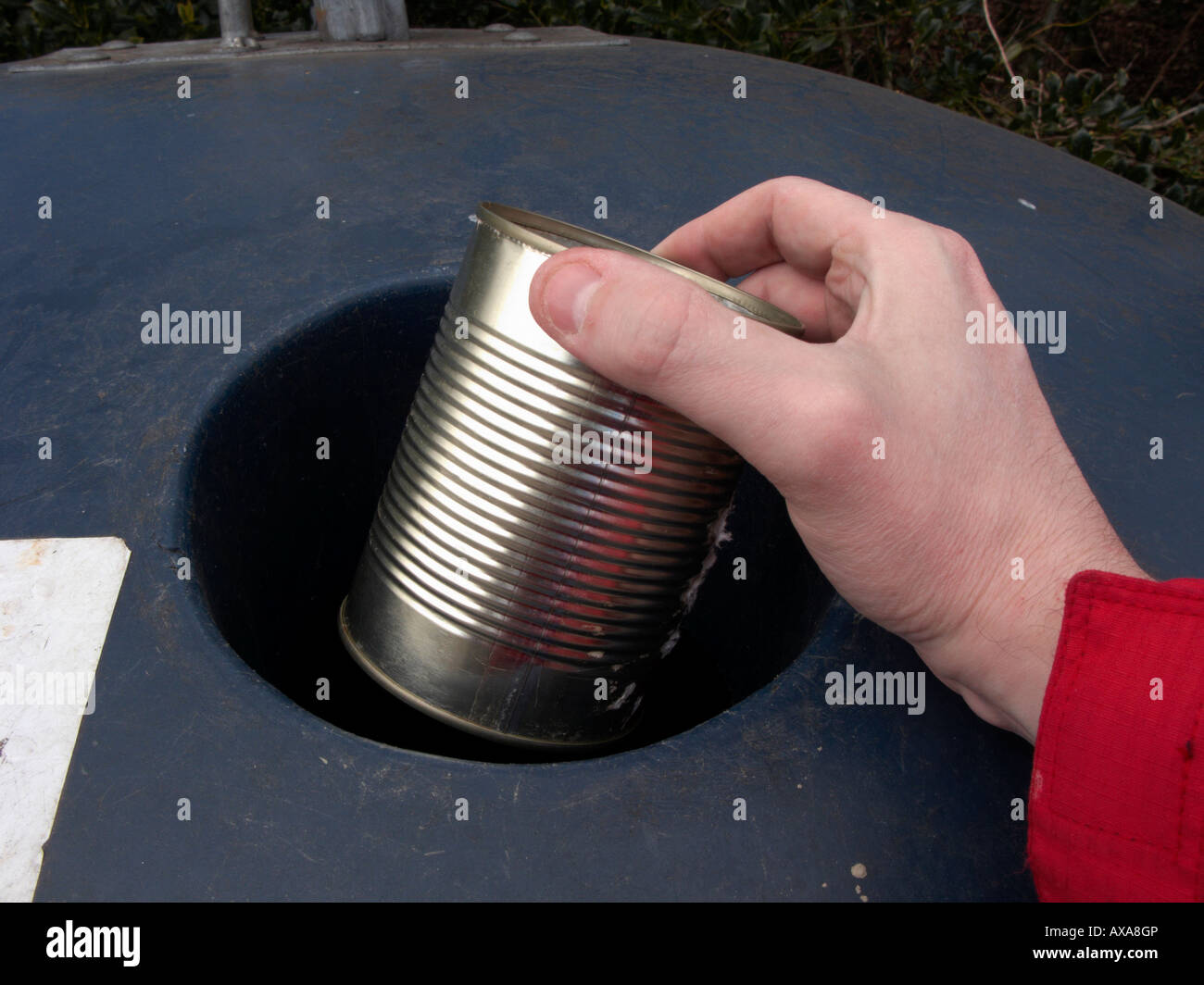 mans hand placing a recyclable empty large clean metal can in a ...