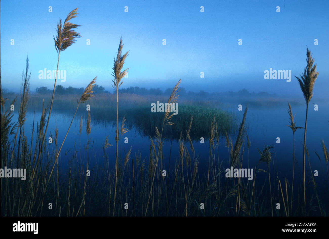 Laguna de Mazegar, Toledo Kastilien, Spanien Stock Photo - Alamy