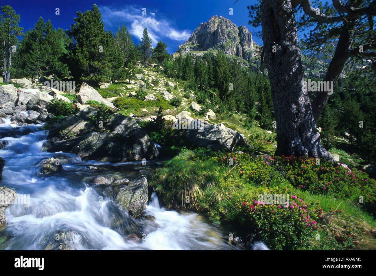 Catalonian holidays hi-res stock photography and images - Alamy