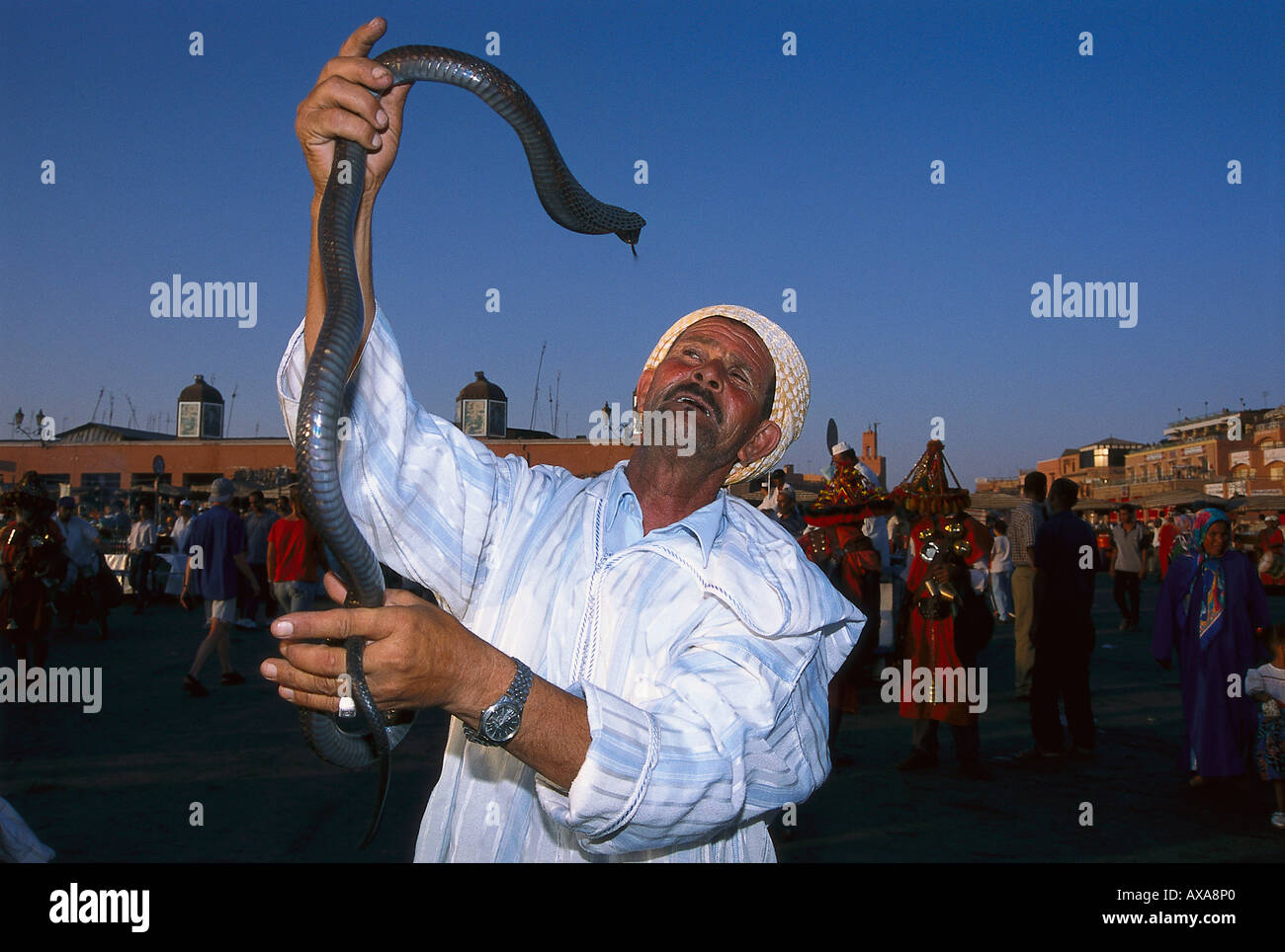 Schlangenbeschwoerer hi-res stock photography and images - Alamy