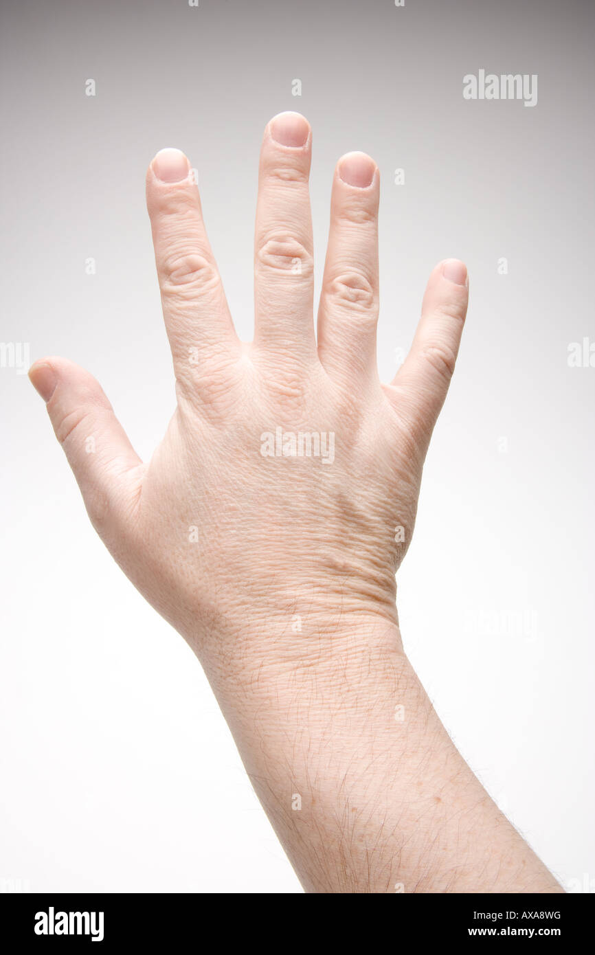 Spread hand back white background hi-res stock photography and images ...
