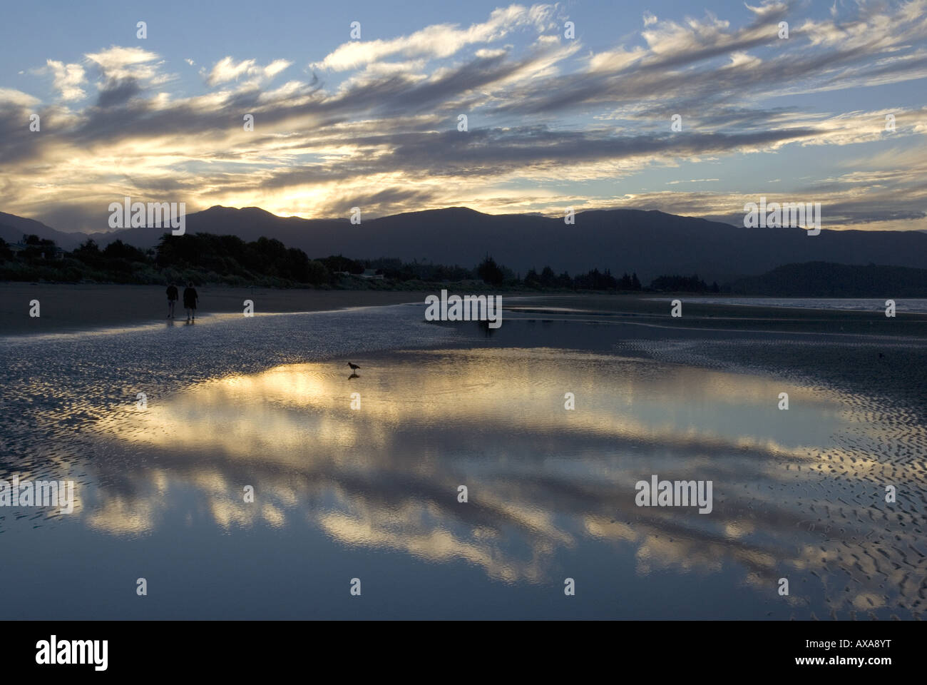 Sunset at Pohara Beach, South Island, New Zealand Stock Photo - Alamy