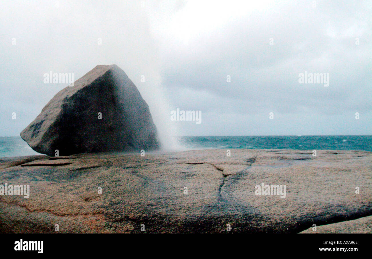 Bicheno blowhole hi-res stock photography and images - Alamy
