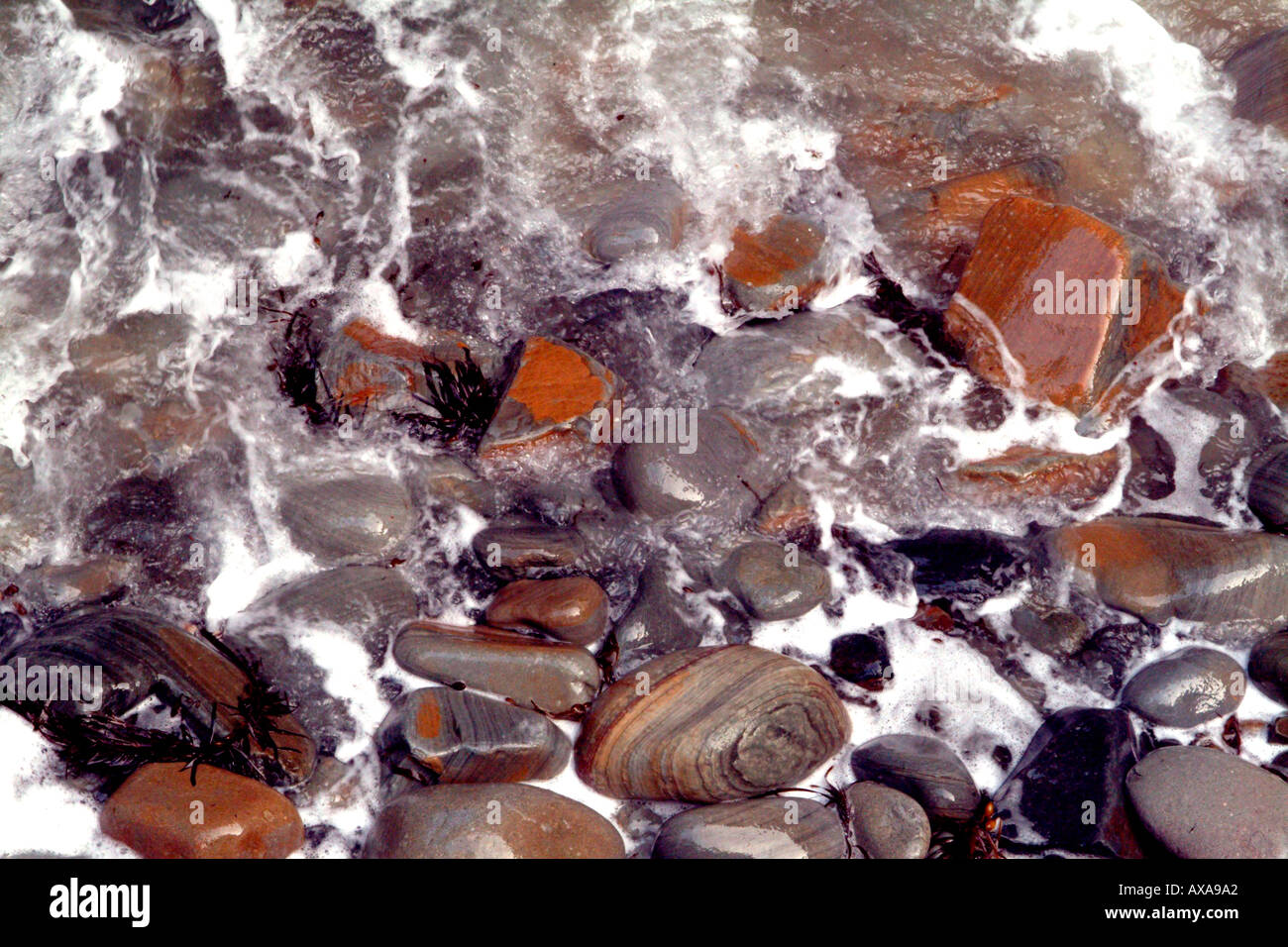 Remarkable Cave Tasmania Australia Stock Photo - Alamy
