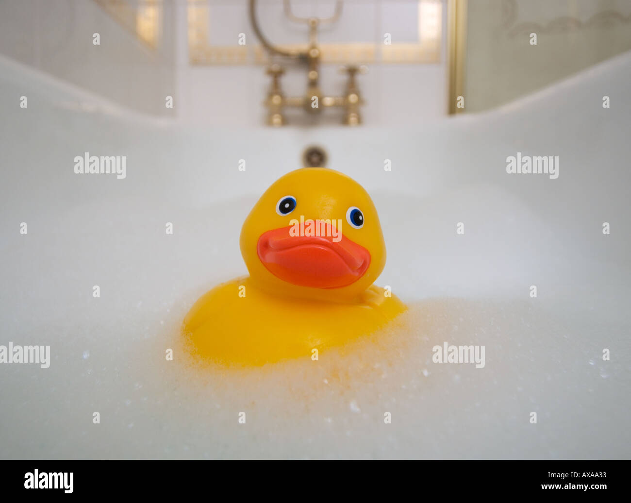 rubber duck in a bath Stock Photo - Alamy