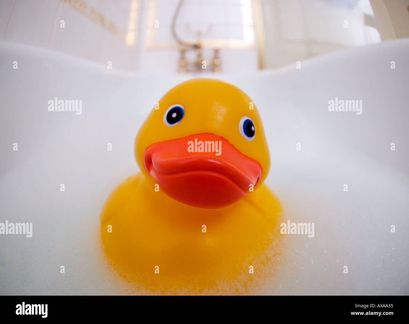 rubber duck in a bath Stock Photo - Alamy