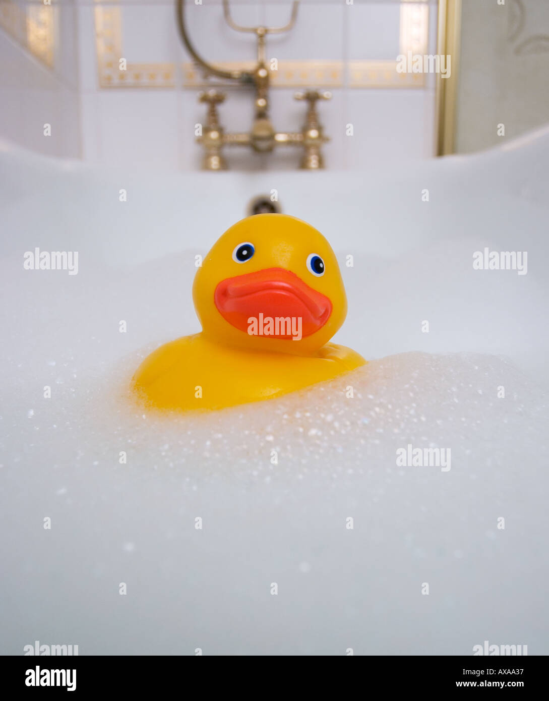rubber duck in a bath Stock Photo - Alamy