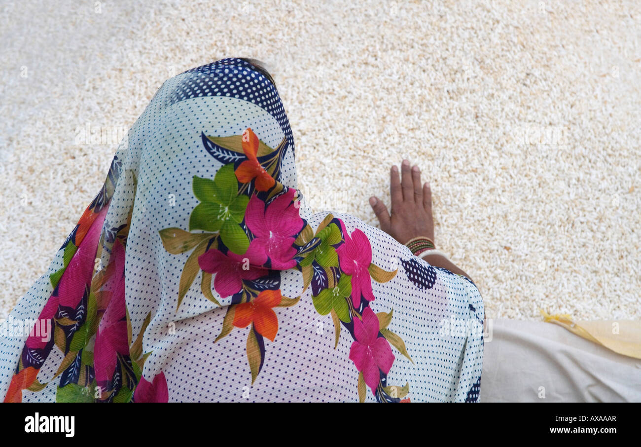 Rice of india hi-res stock photography and images - Alamy