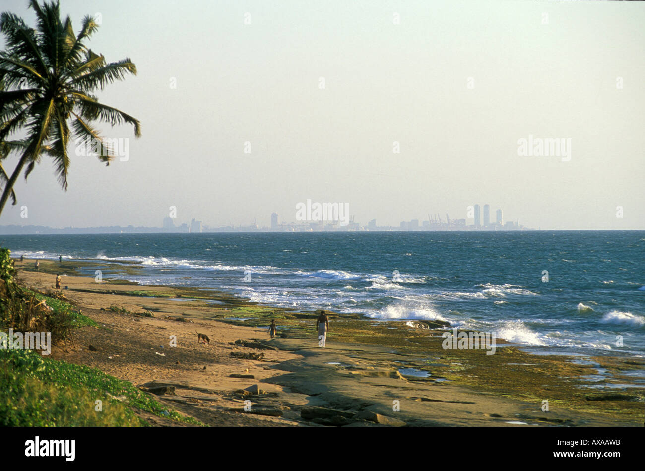 Beach, Negombo, near Colombo Sri Lanka Stock Photo - Alamy