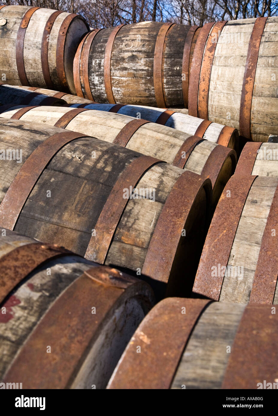 Oak whisky casks stacked in a distillery yard Scotland Stock Photo - Alamy