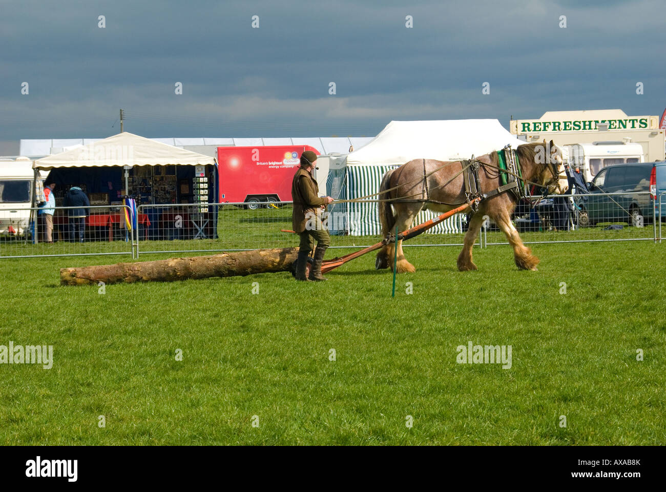 Working shire horse hi-res stock photography and images - Alamy