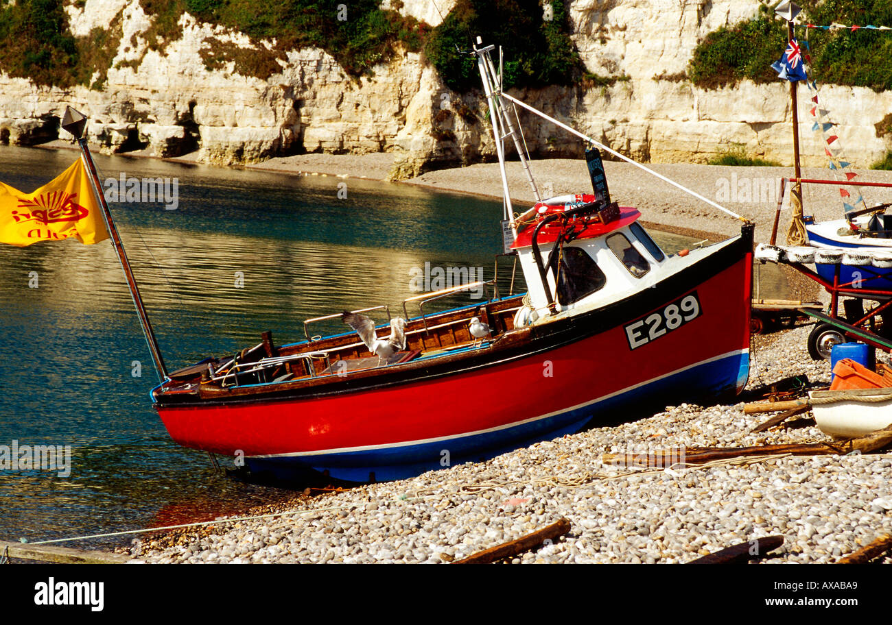 Beer beach devon fish hi-res stock photography and images - Alamy