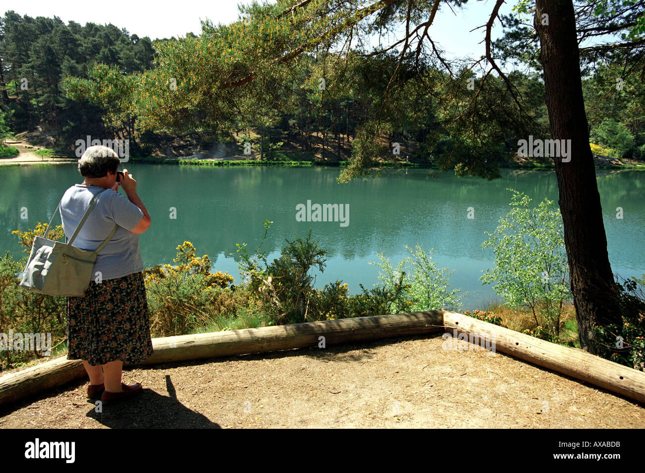 The Blue Pools in Dorset Britain UK Stock Photo - Alamy