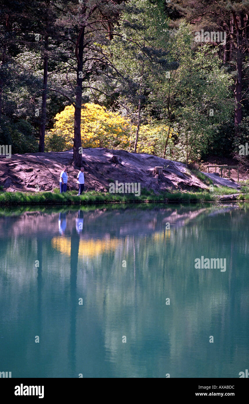 The Blue Pools in Dorset Britain UK Stock Photo - Alamy