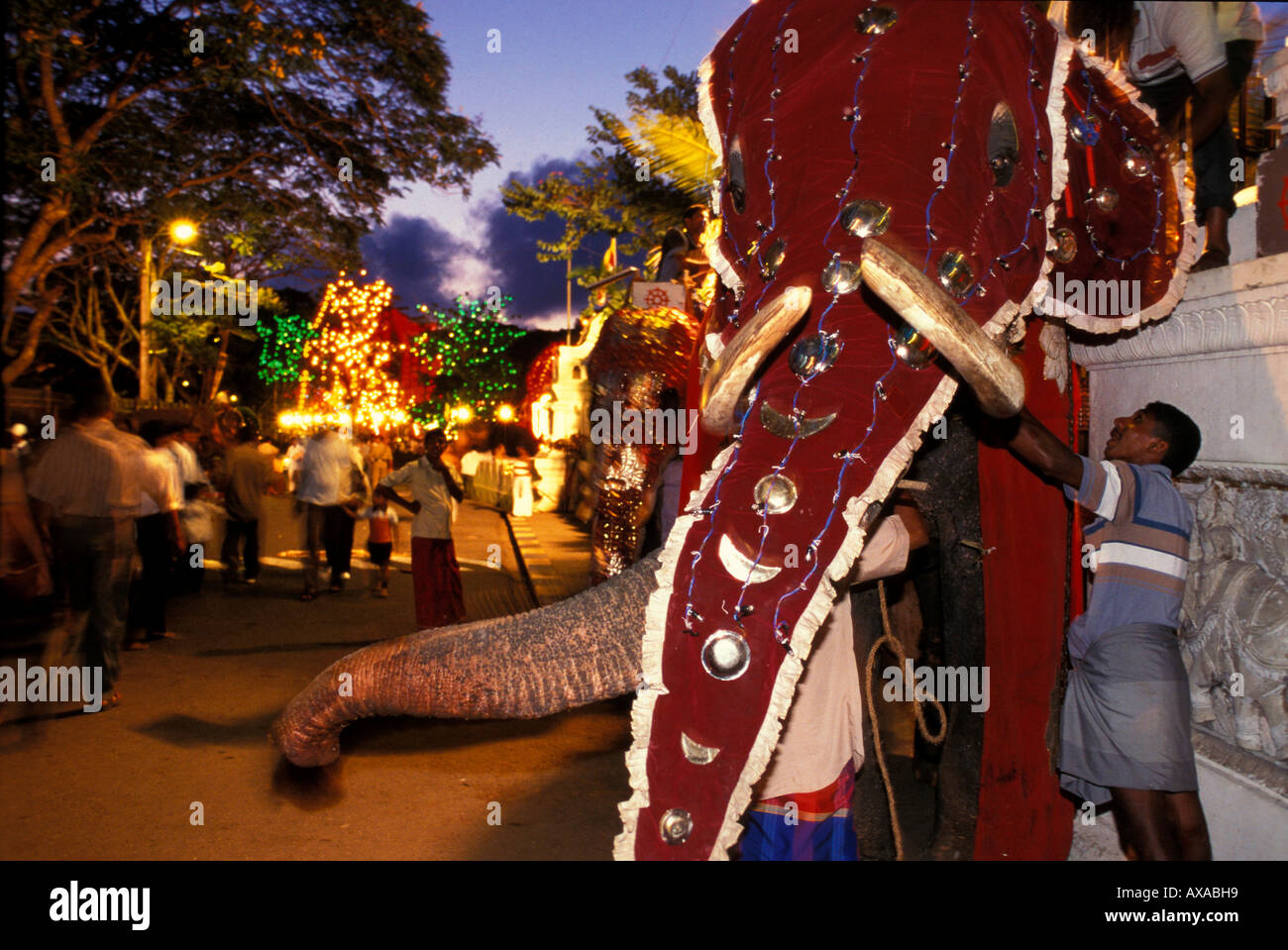 Kandy Perahera, Procession, Dalada Maligawa Temple Sri Lanka Stock ...