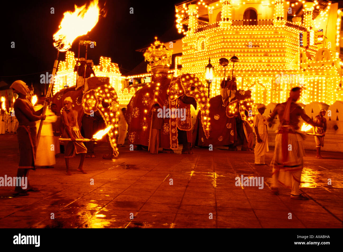 Kandy And The Perahera