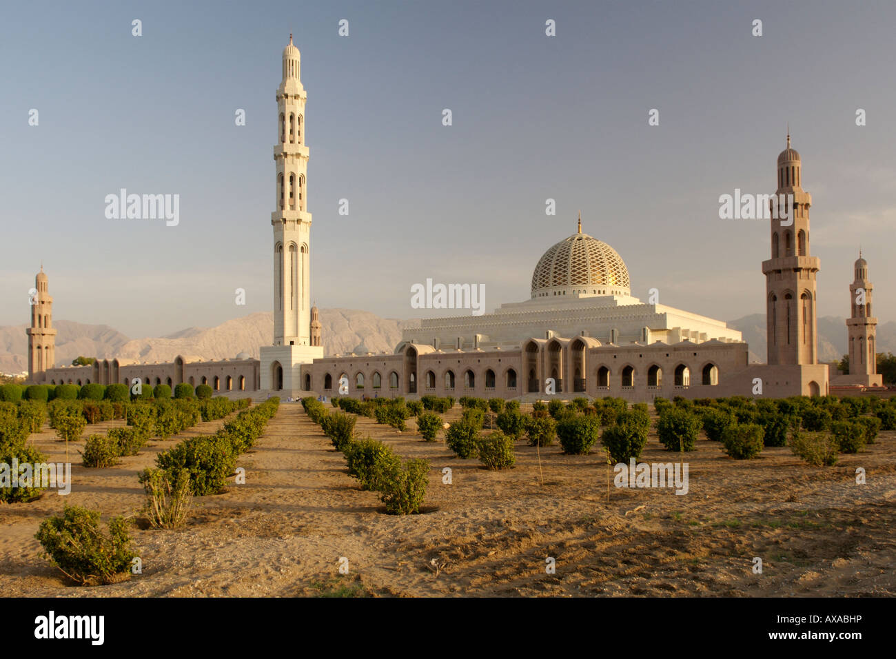 The Sultan Qaboos Grand Mosque in Muscat, the capital of Oman Stock ...